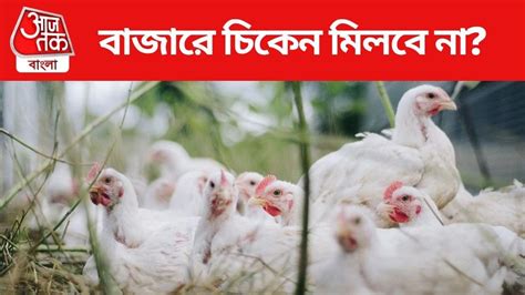 Chicken Supply In West Bengal বাজারে চিকেন মিলবে না পোলট্রি সংগঠনের