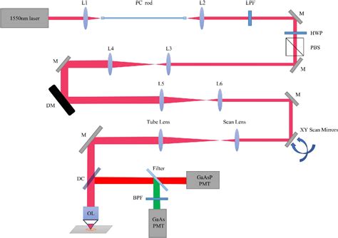 Figure 1 From Aberration Correction For Multiphoton Microscopy Using Covariance Matrix