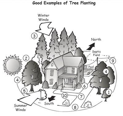 Tracker S Online Journey Plant Trees To Prevent Flooding