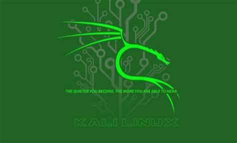Install And Configure Kali Linux On Virtual Machine By Saudshaikh26 Fiverr