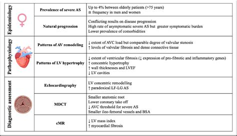 Figure 1 From Sex‐specific Considerations In Degenerative Aortic Stenosis For Female‐tailored
