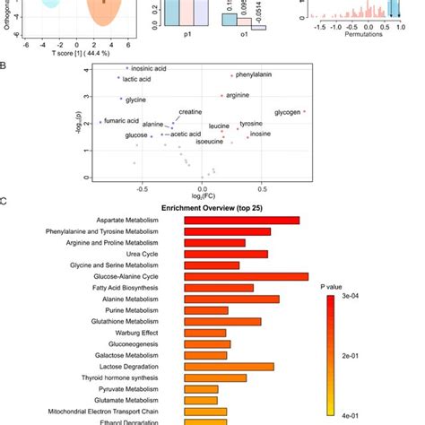 nmr based metabolomics analysis of skeletal muscle a o pls da plot download scientific