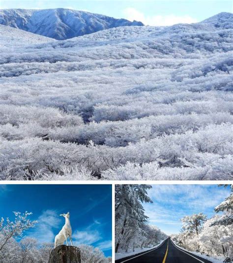 12월 겨울 제주도 여행지 꼭 가볼 만한 곳 추천 Best5 투어라이프닷컴