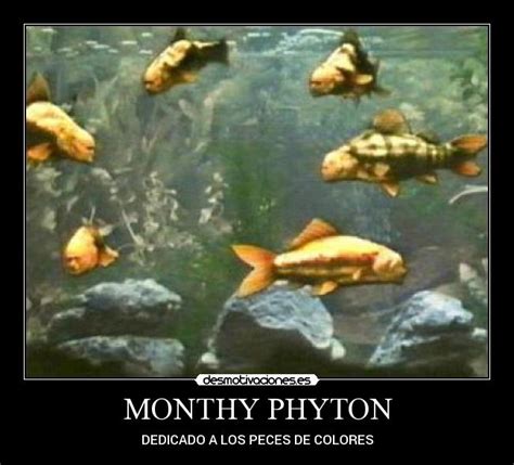 Imágenes Y Carteles De Monthy Desmotivaciones