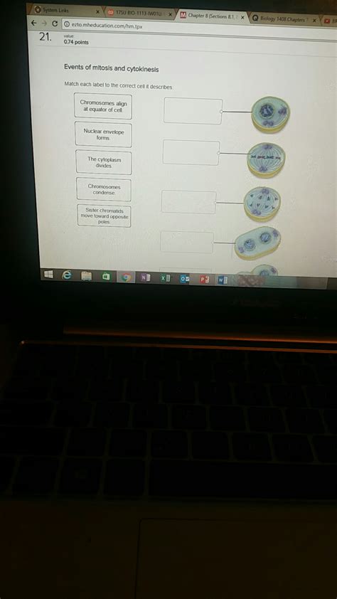 solved match each label to the correct cell it describes