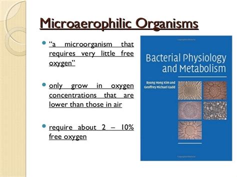 Serge Francois Physiology Of Bacteria