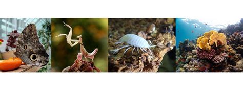 Birgit Waldsam Birgit Waldsam Added A New Photo