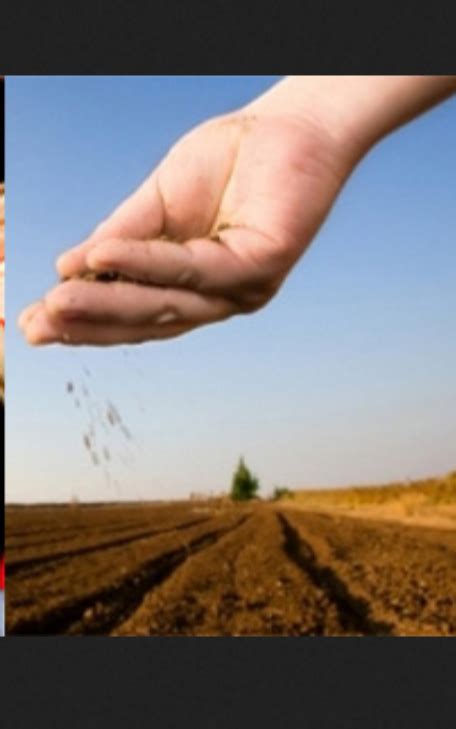 Geophysical And Non Destructive Testing Service In Kolkata Id 15850820662