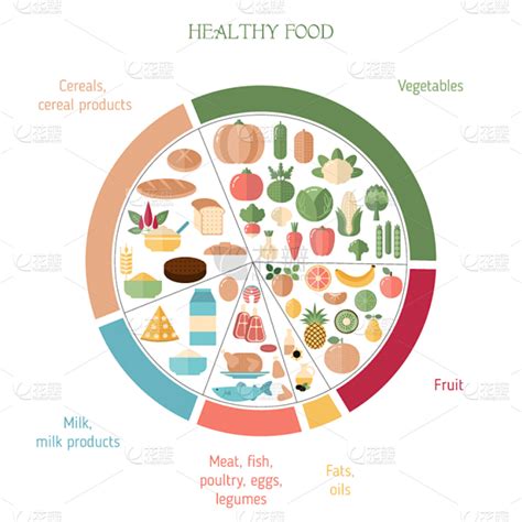 健康食物 概念 平衡 膳食 生物学 蔬菜 谷物 比例 面包 午餐