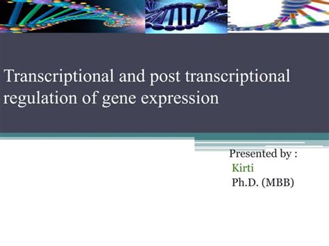 Transcriptional And Post Transcriptional Regulation Of Gene Expression