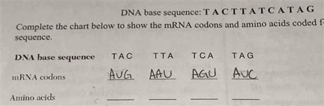 Solved Dna Base Sequence T A C T T A T C A T A G Complete The Chart Below To Show The Mrna