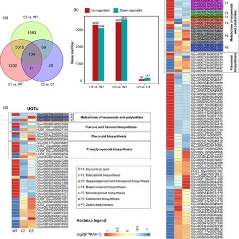 Multi‐omics Network About The Comprehensive Microbeplantmetabolite Download Scientific