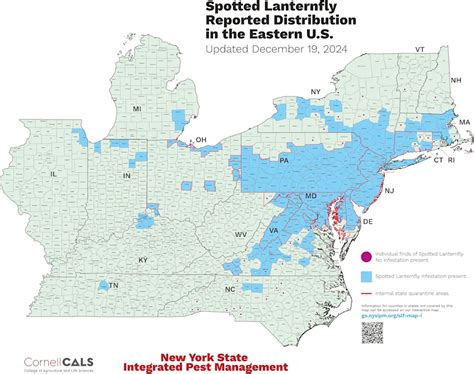 Spotted Lanternfly Infestations Estimated To Cause More Than 8m In