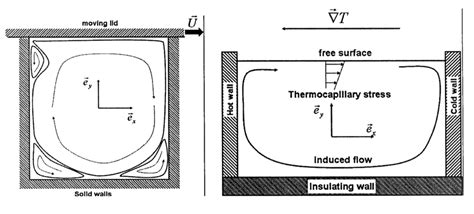 Lid Driven Cavity Configuration Left And Thermocapillary Convection