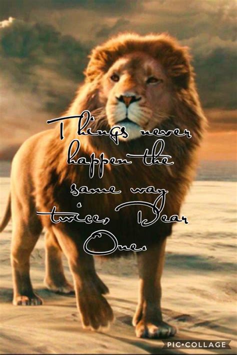 Aslan Narnia Lion On Beach