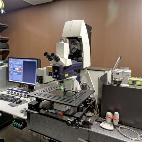 Leica Sp8 Confocalmulti Photon Microscope Bcm