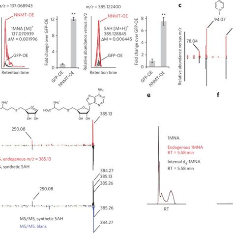 Nnmt Regulates Sam And Sah Levels In Cancer Cells A Targeted Lc Ms Download Scientific