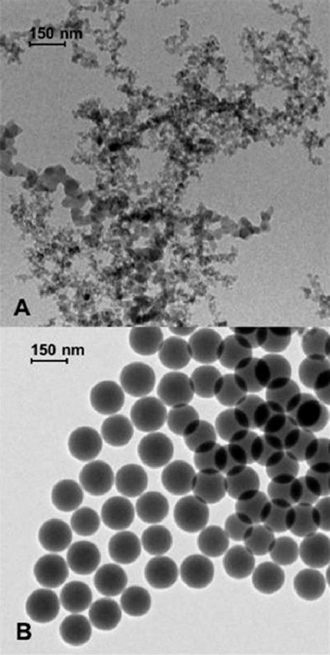 Tem Micrographs Of Csio 2 Nps A Ssio 2 Nps B Download