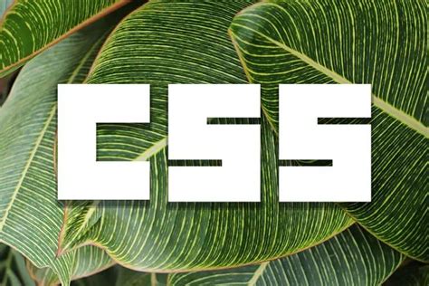 Juliette Alexandria On Linkedin Design Vs Accessibility And The Css