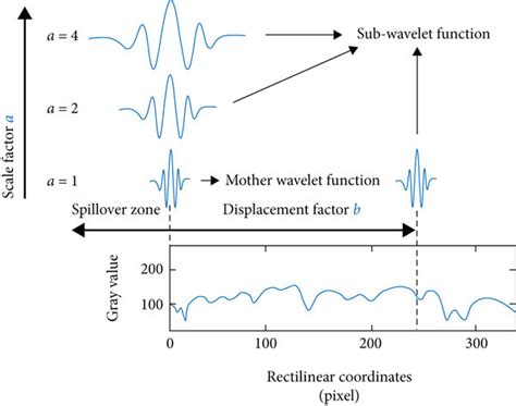 The Calculation Process Of 1d Cwt Download Scientific Diagram