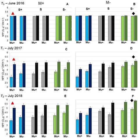 Mean SE Net Primary Production NPP At A B T 0 C D T 1 And Download Scientific