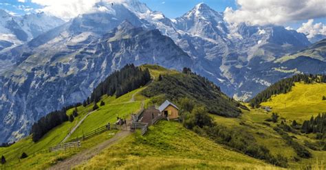 Pytorch 深度学习实战教程（三）：unet模型训练，深度解析！unet训练 Csdn博客