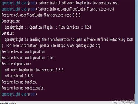 Opendaylight的安装及使用 Opendaylight 解压版 Csdn博客