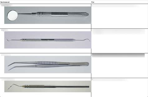 Examination Instruments Diagram Quizlet