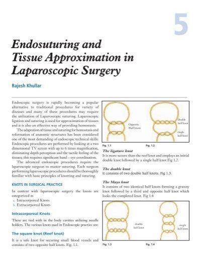 Endosuturing And Tissue Approximation In Laparoscopic Iages