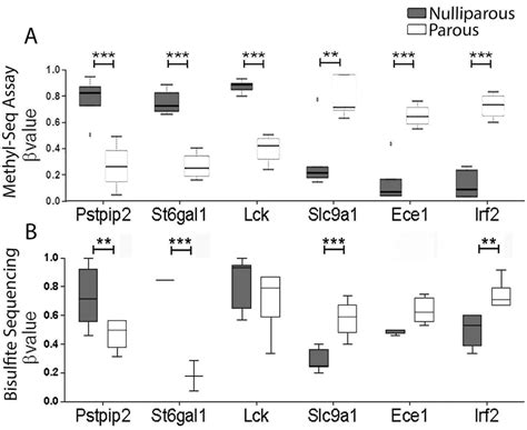 Confirmation Of Methyl Seq Dna Methylation By Bisulfite Sequencing A Download Scientific