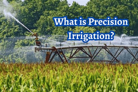 This Precision Irrigation Helps Your Plants Growth