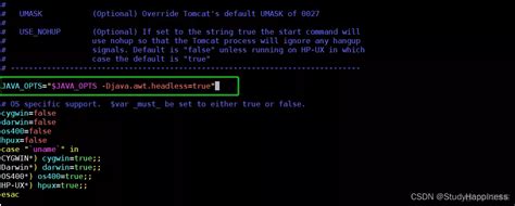Ubuntu ：部署tomcat Jenkins报错：perhaps You Need To Run Your Container With “ Djavaawtheadlesstrue
