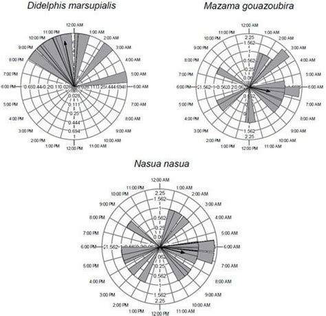 Circular Arc Graphs With Records Of Daily Activities Of The Species Download Scientific Diagram
