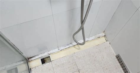 하루 전에 신청했음에도 다음날 빠르게 청소해주셨습니다 완전 새 집이 된 것 같아요 틈새까지 깨끗하게 청소해주셨어요 다음에 또 이용하도록 하겠습니다 숨고 숨은고수