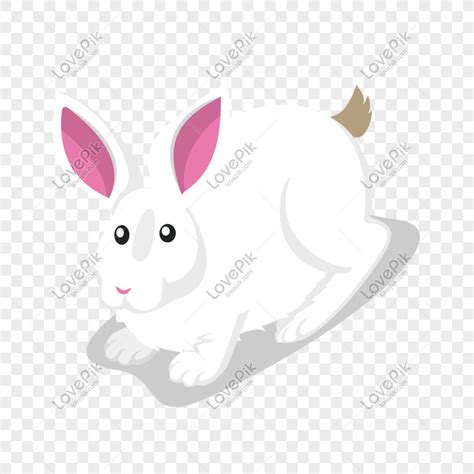 만화 귀여운 토끼 벡터 이미지 사진 401274369 무료 다운로드
