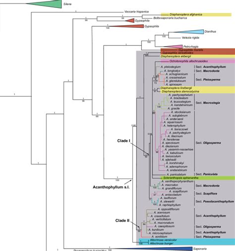 Majority Rule Consensus Tree Inferred From Bayesian Analysis Of Its