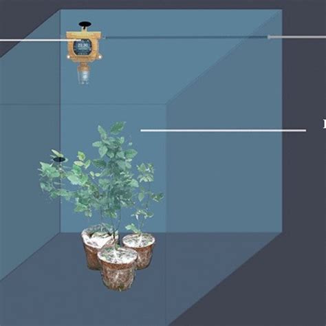 The Fumigation Test Device For Timing Regulation And Recording Of The