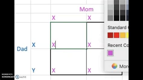 Determining Sex YouTube