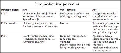 Vidutinis Trombocitų Tūris Mpv Tavo Sveikata