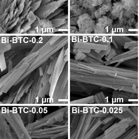 Xrd Pattern Of Bi Btc Samples Download Scientific Diagram
