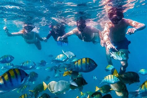 2023 Los Cabos Snorkeling Tour By Speed Boat With Photos Included
