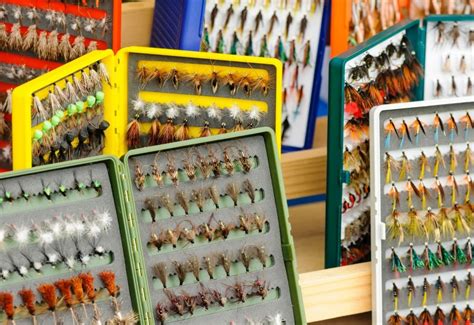 20 Best Dry Flies To Help You Catch More Fish Into Fly Fishing