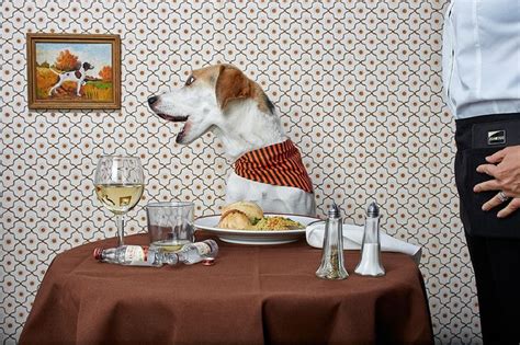 Alison Obrien For Center Forward 2015 In The Main Gallery Now See