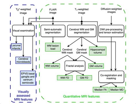 Figure Schematic Representation Of The Mri Features Extraction For Download Scientific Diagram