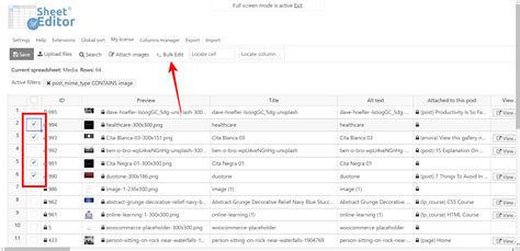 Wordpress How To Bulk Edit Image Alt Text Or Seo Descriptions