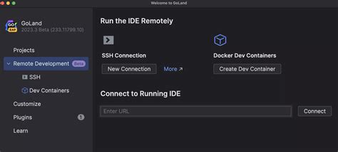智能高效的go开发工具goland V20233发布，支持ai辅助编码！goland 20233最新 Csdn博客