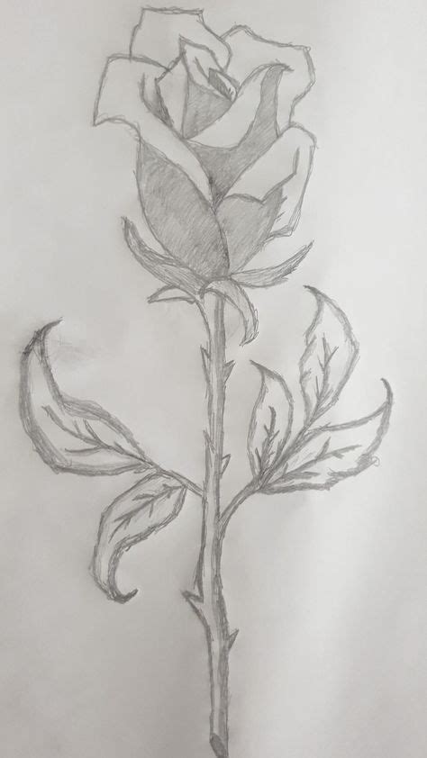 Dibujo De Rosas A Lapiz Faciles