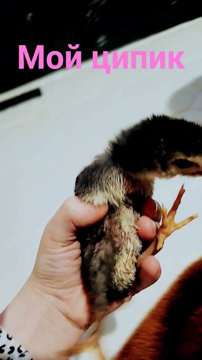 если розовый цвет это девочка а если голубой мальчик Youtube