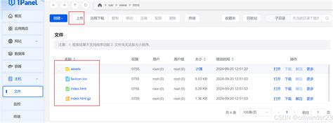 若依ruoyi Vue3虚拟机前后端分离部署到nginx若依 Vue3 打包部署 Csdn博客