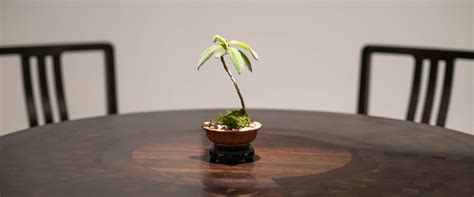 紫光檀家具 荣鼎轩红木 荣轩工艺品官网